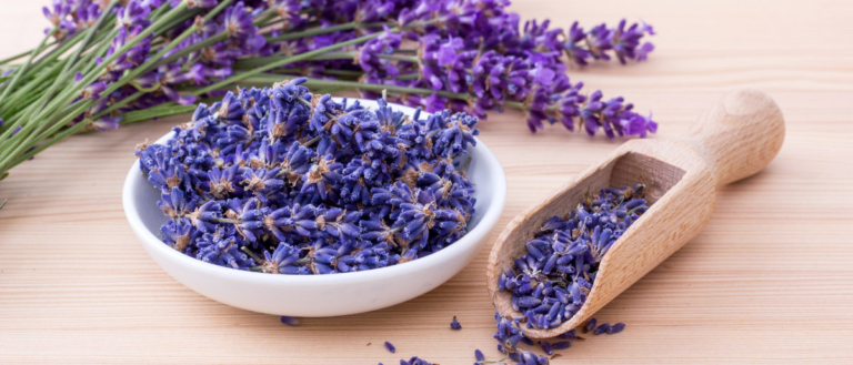 Propiedades del aceite de lavanda y beneficios para la piel