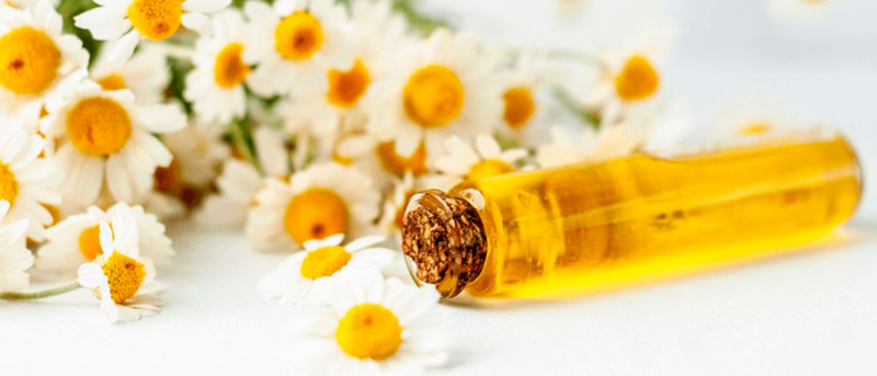 Bisabolol: qué es y cuáles son sus propiedades