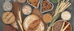 Prebióticos, Probióticos y Fibra Alimentaria: Claves para una buena ...