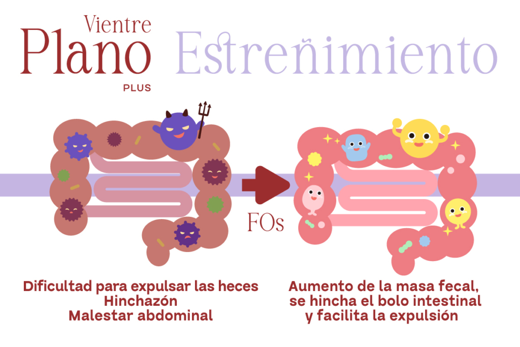 Fructooligosacáridos: Qué son y qué beneficios tienen en la piel